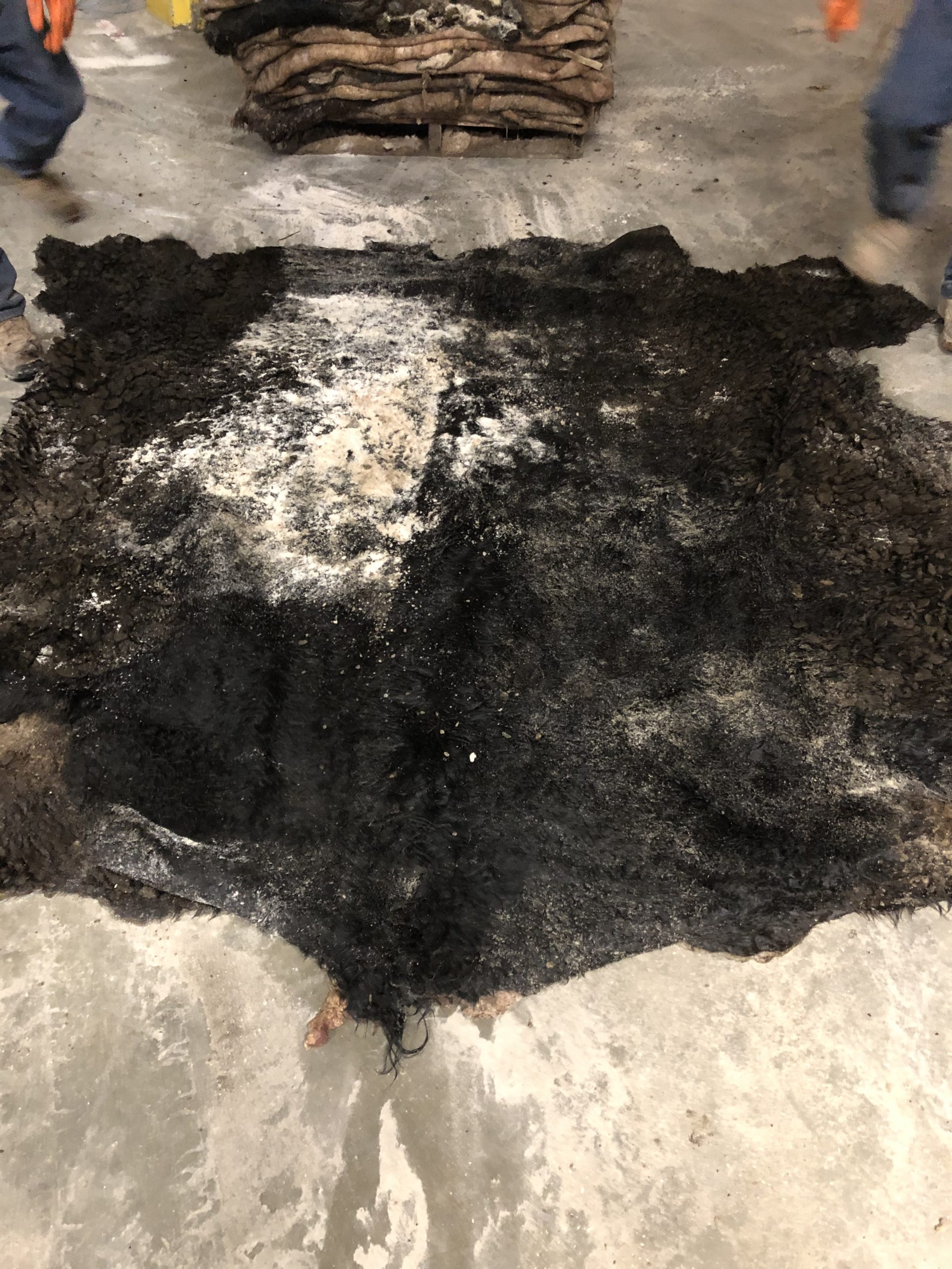 OzTan Hides – Premium Quality Hides & Skins