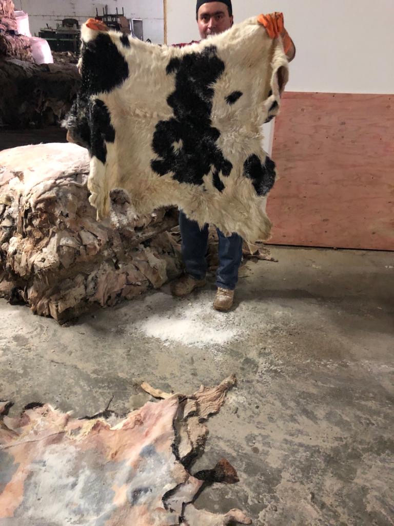 OzTan Hides – Premium Quality Hides & Skins